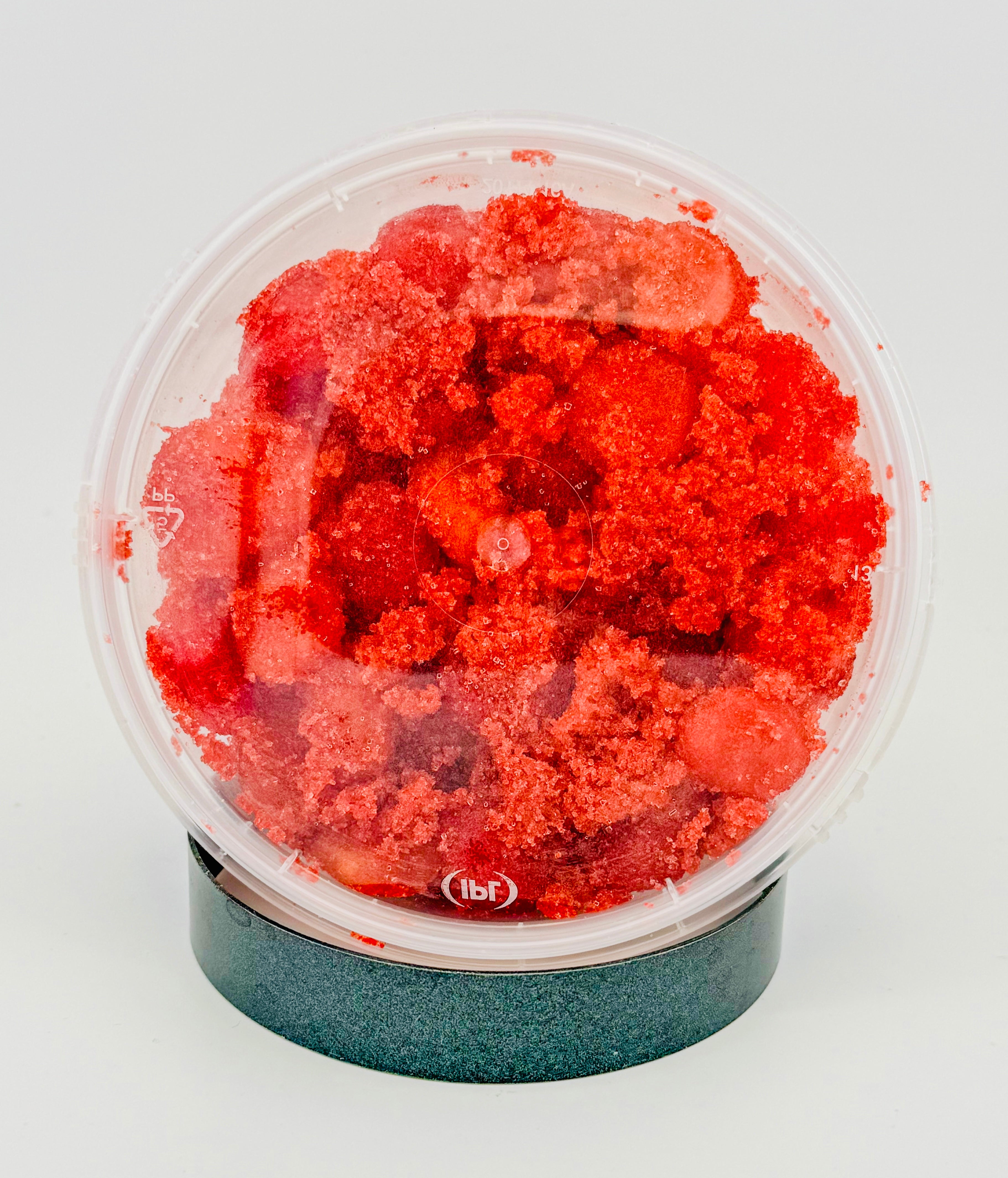 Cherry Limeade Gushers - 8oz 🍒💚 – 40 Below Freeze Dried Goods