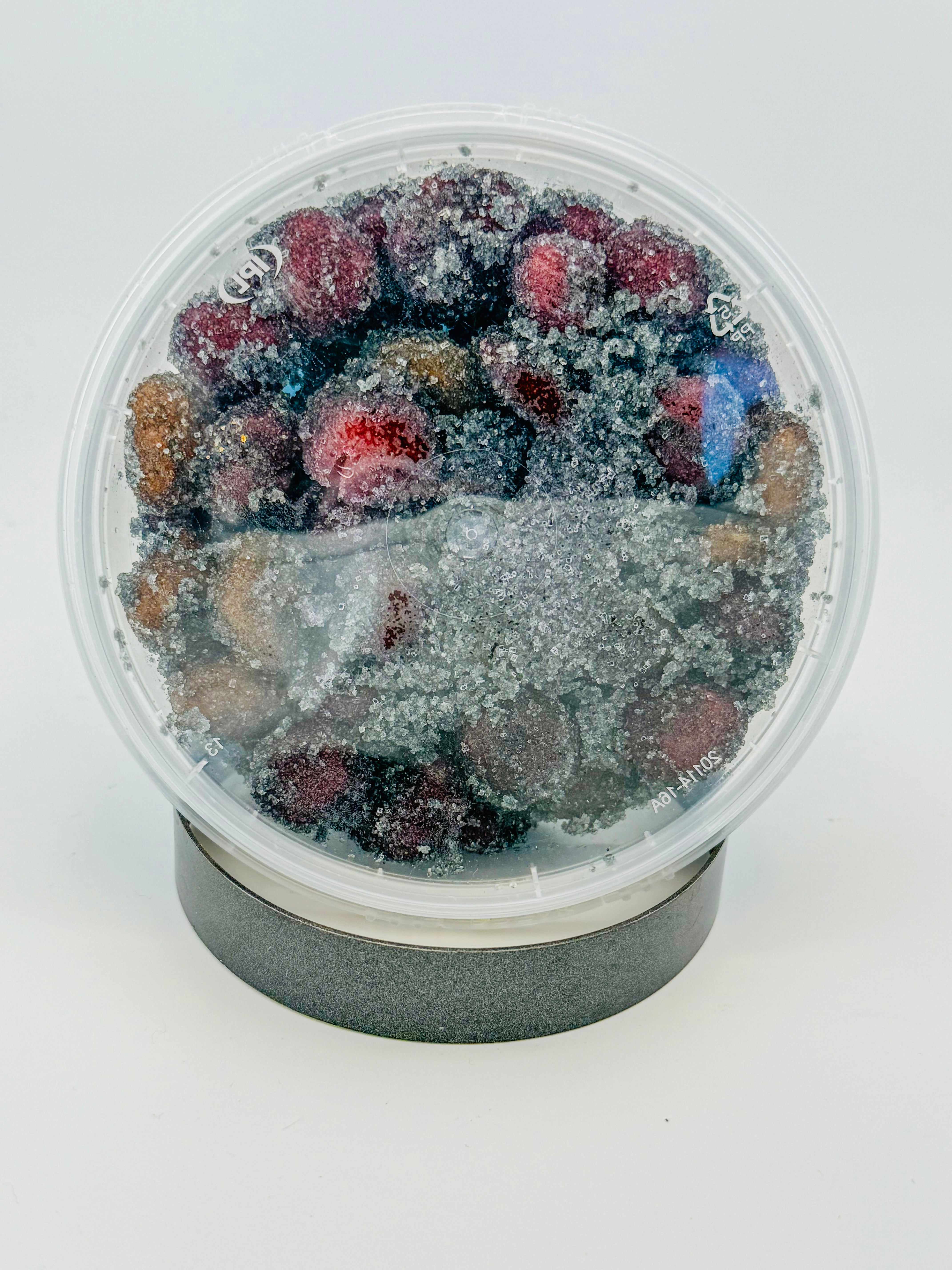Grape Gushers - 8oz 🍇💜 – 40 Below Freeze Dried Goods