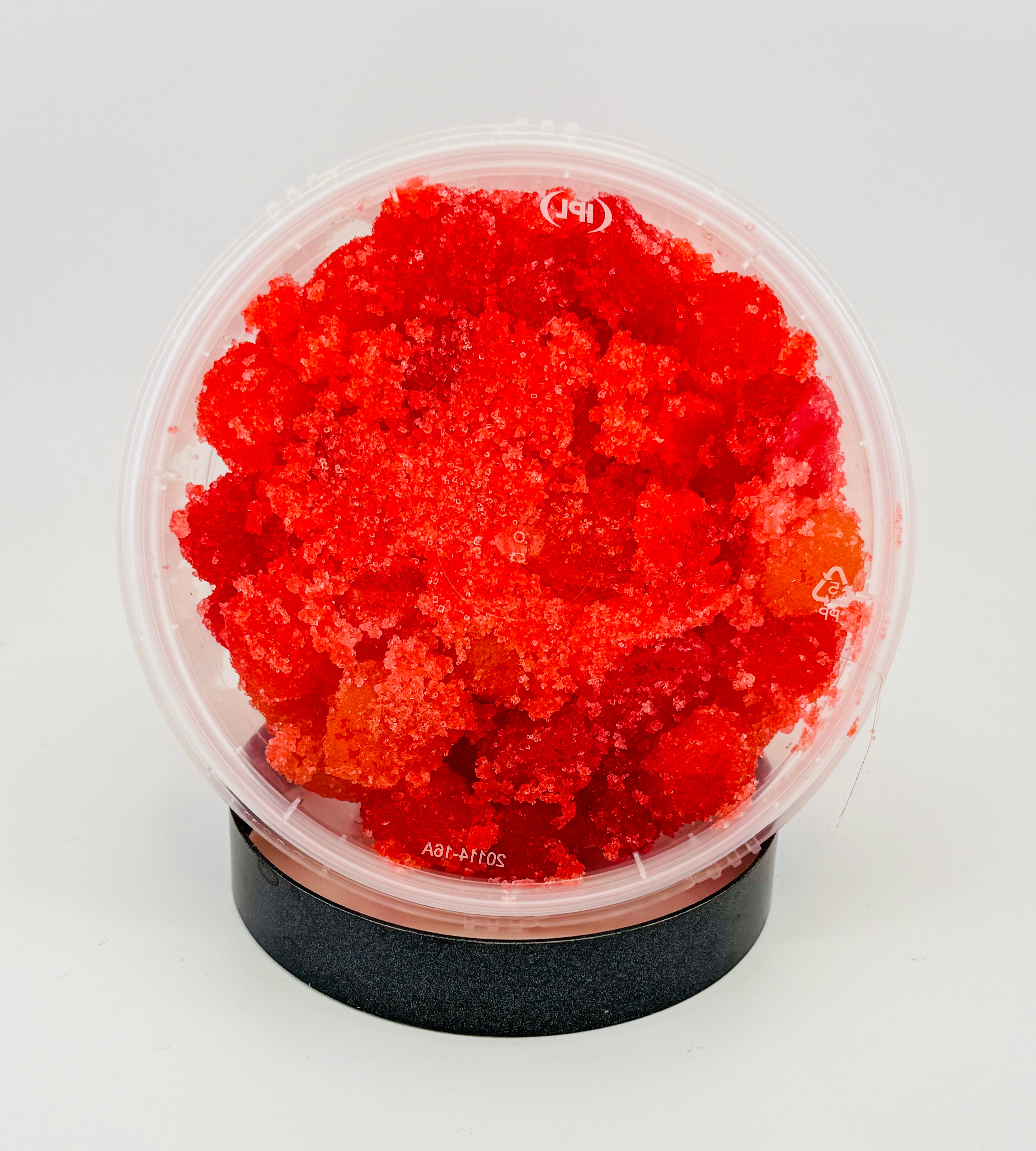 Sour Watermelon Gushers- 8oz 💥🍉💚 – 40 Below Freeze Dried Goods